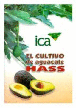 EL CULTIVO DE AGUACATE HASSS. DIRECCIÓN TÉCNICA DE EPIDEMIOLOGÍA Y ...